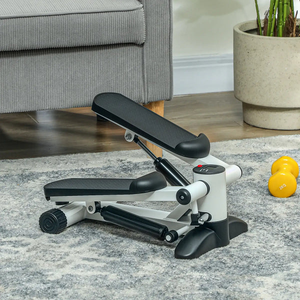 Mini Stepper with LCD Monitor — Little and Giant Explorers